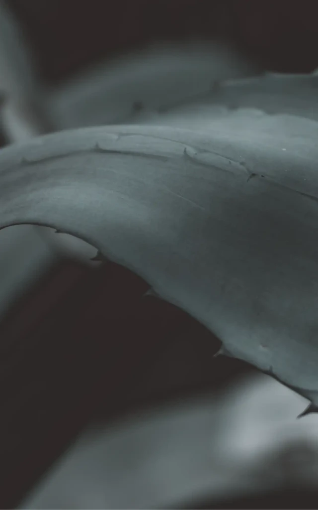 black tablet wallpaper